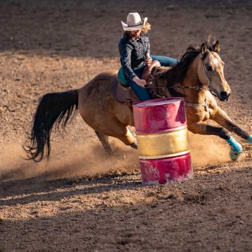 2024 Rodeo Houston | Famplified - Houston