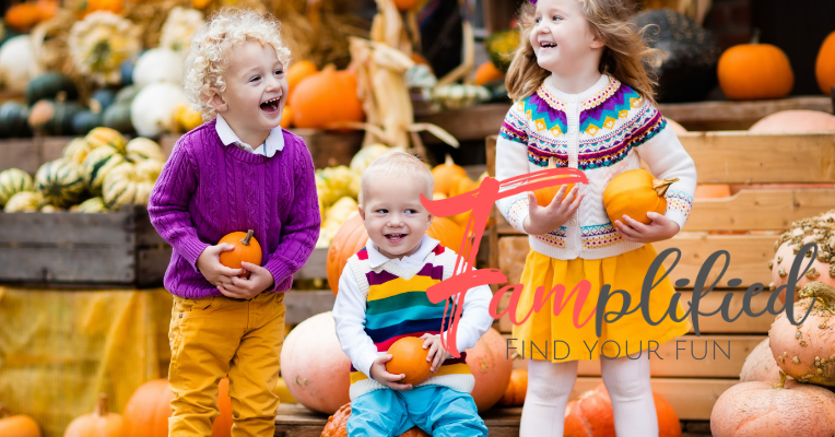 2024 Robinson Family Farm Fall Fest - Famplified