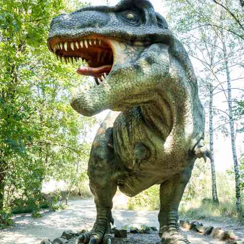 T. Rex: The Ultimate Predator Exhibit at Perot Museum - Dallas